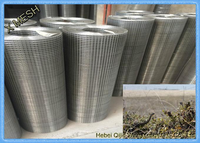 1/2"X1/2" Welded Wire Mesh Steel Prevent Snake Fencing Size Customized