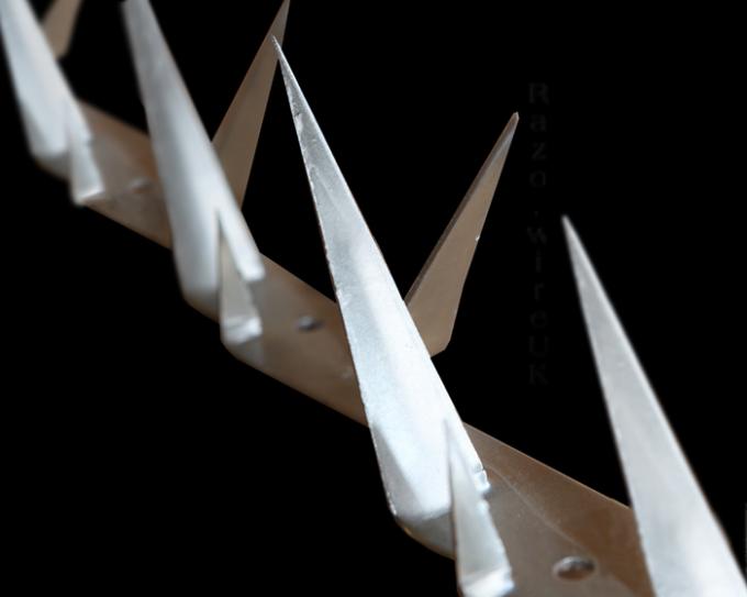 Barb L64mm Barb Thickness 0.8mm Fence Wall Spikes