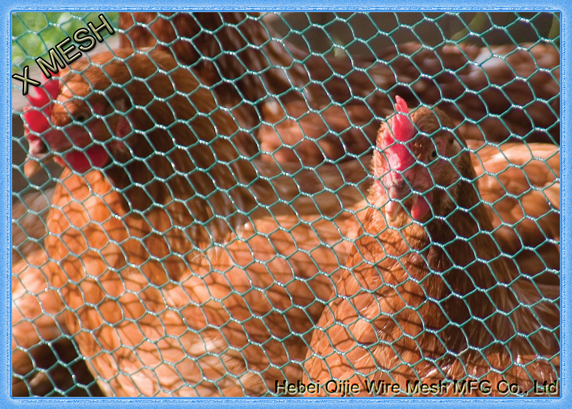 PVC Coated Heavy Duty Chicken Wire Stainless Steel Netting Mesh For Farms