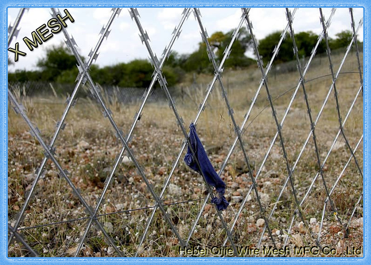 Ss430 Stainless Steel Razor Wire Cross Type Bto-22 Diameter 50cm