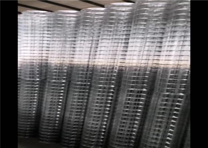 25x25mm Hole Hot Dipped Galvanized Welded Wire Mesh
